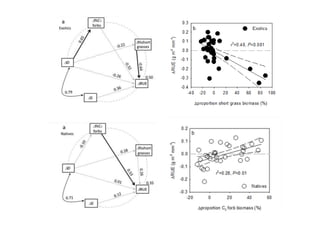 Carbon Cycling in Native vs. Non-Native Dominated Rangeland Systems | PPT