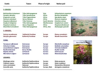 Carbon Cycling in Native vs. Non-Native Dominated Rangeland Systems | PPT