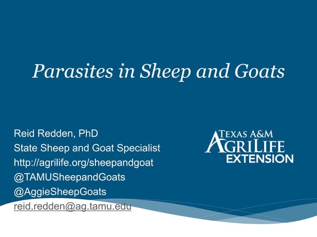 Parasites in Sheep and Goats by R. Reid Redden, PhD | PDF | Infectious ...
