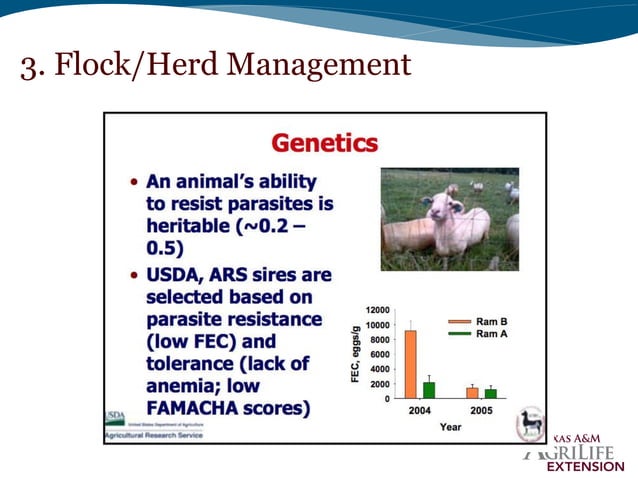 Parasites in Sheep and Goats by R. Reid Redden, PhD | PDF | Infectious ...