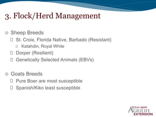 Parasites in Sheep and Goats by R. Reid Redden, PhD | PDF