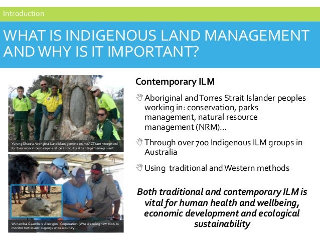 A Tapestry Of Sustainability: How Indigenous Land Management Ensured ...