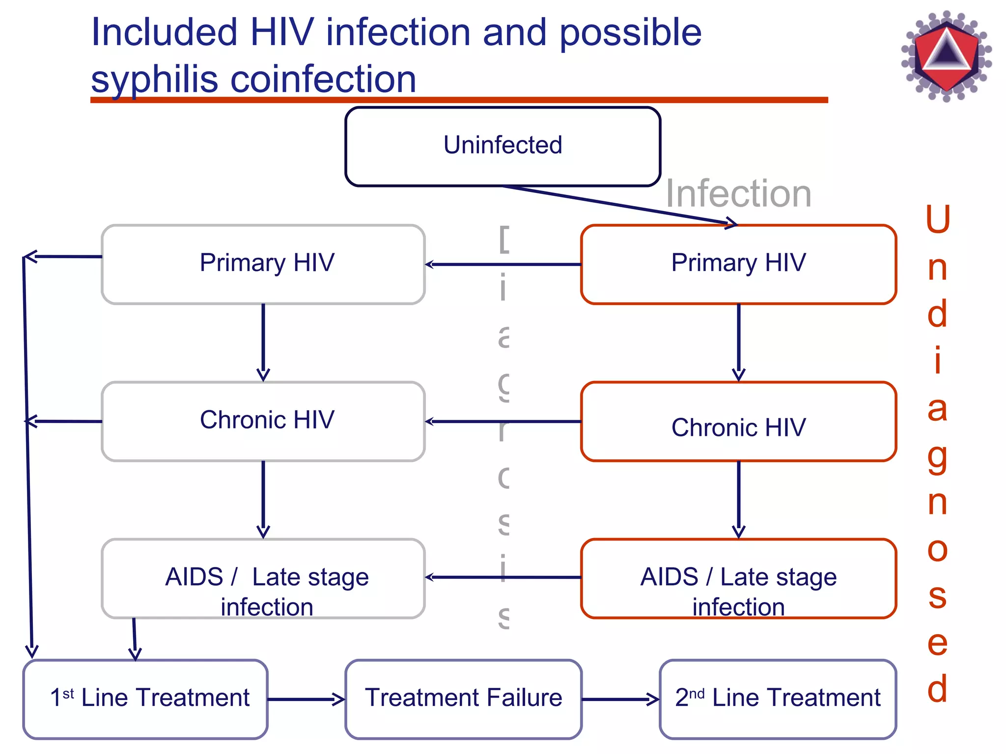 Syphilis Modelling | PPT | Sexual Health | Diseases and Conditions