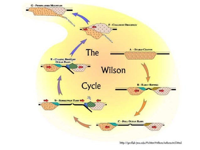 Wilson cycle