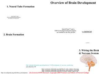 Wilson presentation | PPT