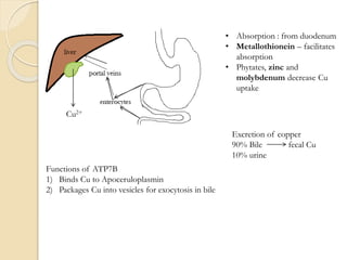 wilsonsdisease neurology-170620072207.pdf