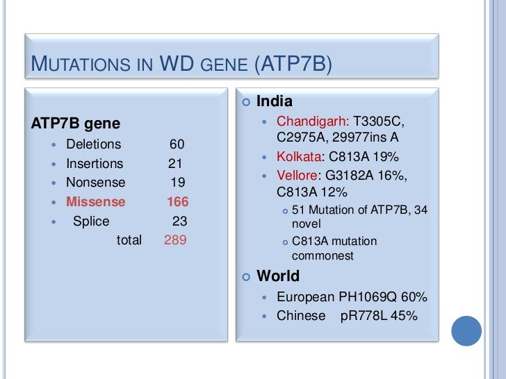 Wilsons Disease