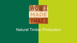 -Natural-Timber-Production- A-lEVEL Woods | PPTX