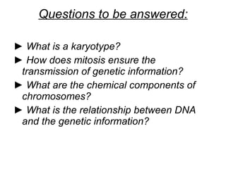 The Karyotype | PPT | Genetics | Science