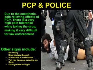 Win co training short preview | PPTX