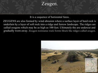 Zeugens