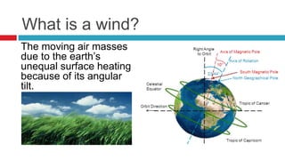 Wind | PPTX | Weather | Science