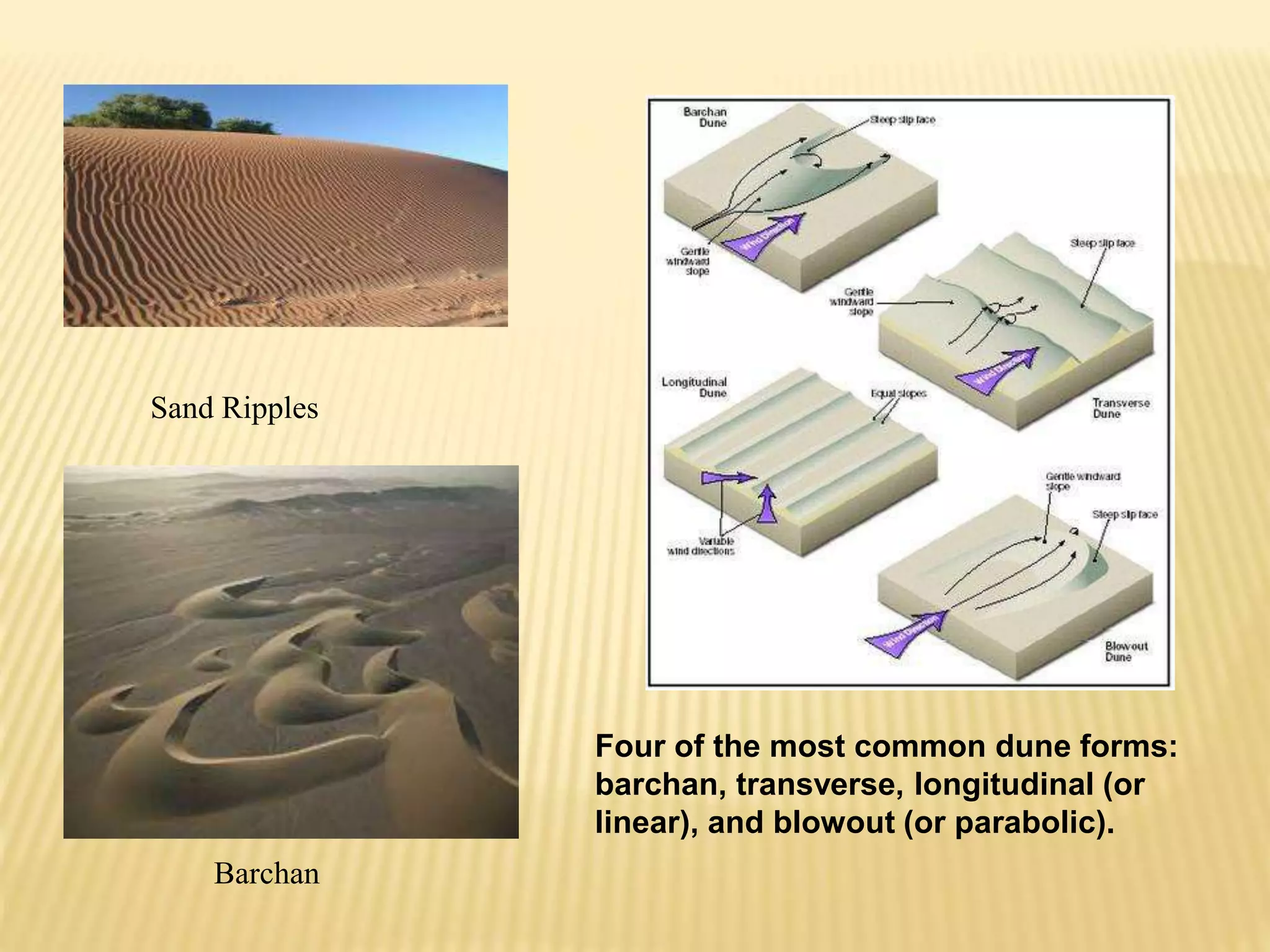Wind / Aeolian landforms | PPT