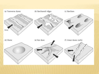 Wind / Aeolian landforms | PPT