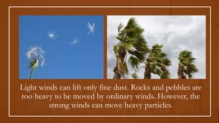 WIND.pptx | Weather | Science