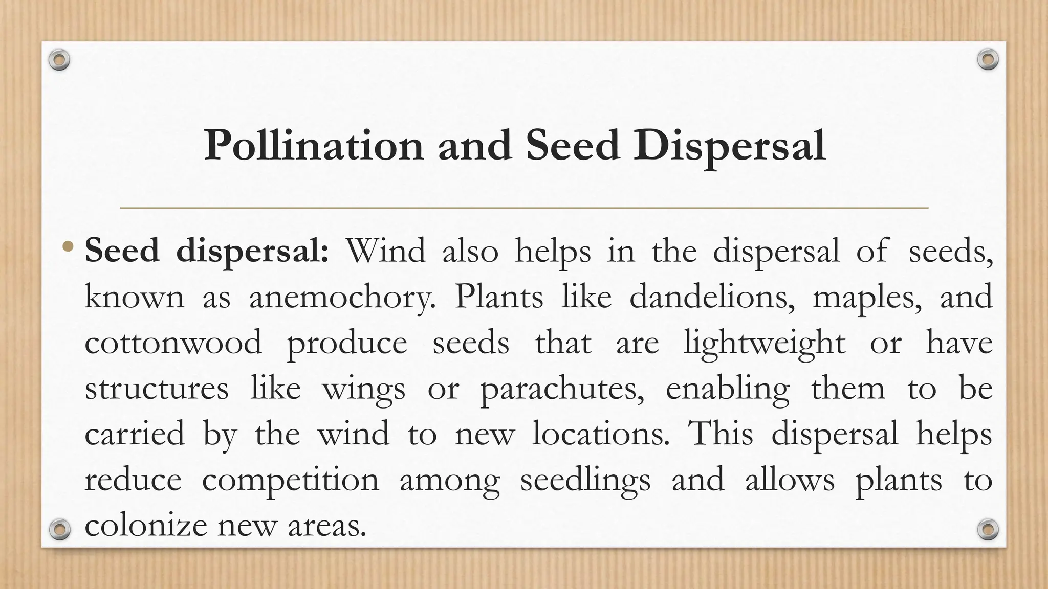 Wind as an ecological factor and its importance | PPTX