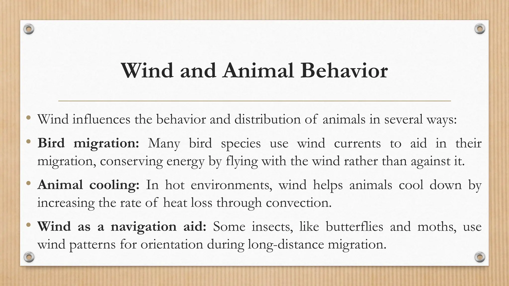 Wind as an ecological factor and its importance | PPTX