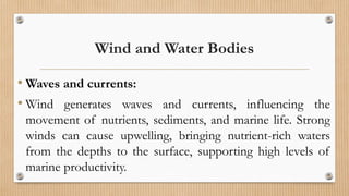 Wind as an ecological factor and its importance | PPTX