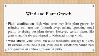 Wind as an ecological factor and its importance | PPT