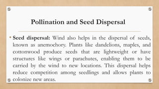 Wind as an ecological factor and its importance | PPT