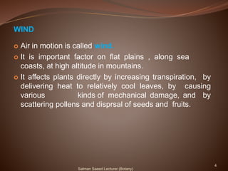 Wind as an Ecological Factor by Salman Saeed | PPTX