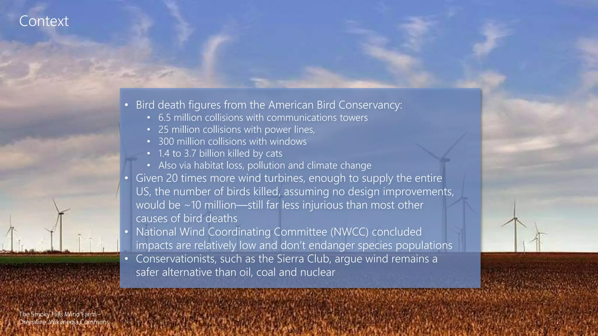 Birds, Bats & Wind Turbines | PPTX