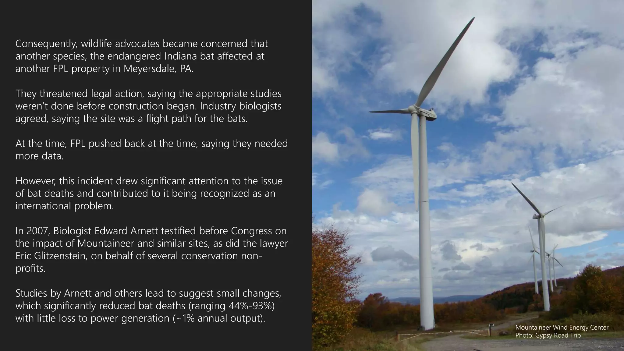 Birds, Bats & Wind Turbines | PPTX