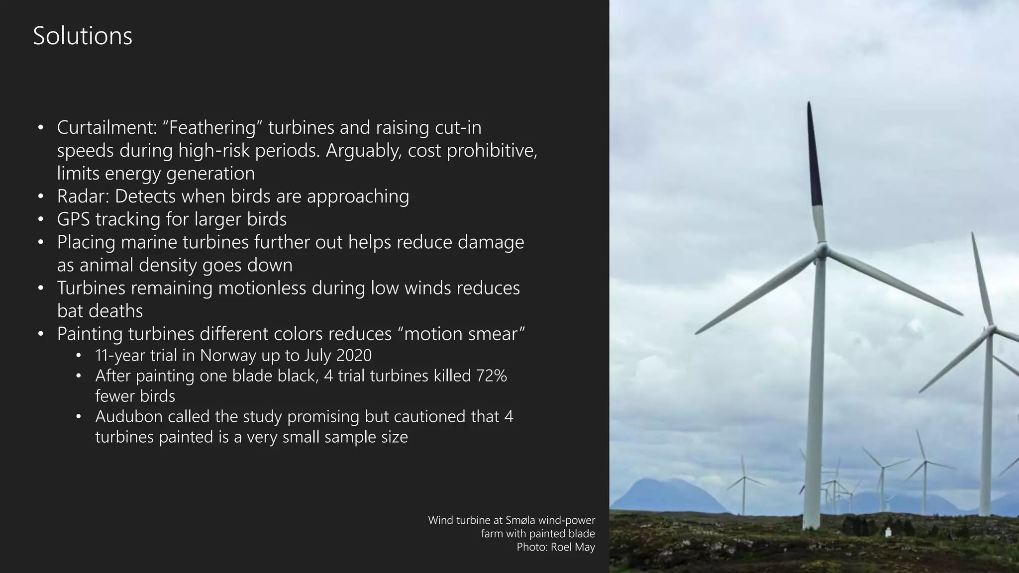 Birds, Bats & Wind Turbines | PPTX