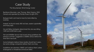 Birds, Bats & Wind Turbines | PPTX