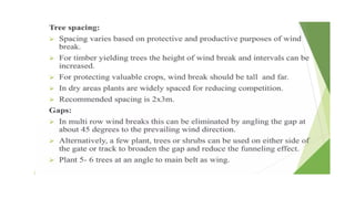 Wind break- 1st year.pptxiro383kei8eieke8e | PPTX