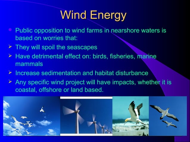 Wind energy | PPT