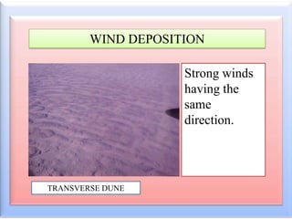 Wind Erosion | PPTX