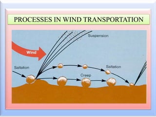 Wind Saltation