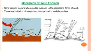 Wind Erosion.pptx