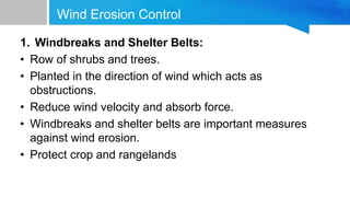 wind erosion.ppt.pptx