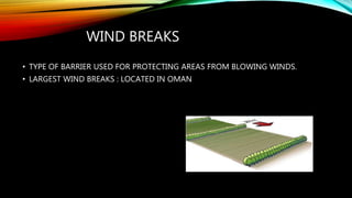 Wind erosion control | PPTX | Agriculture | Industries