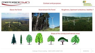 Modelling wind flow in forested area - study by Meteodyn and Iberdrola ...