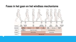 Windlass mechanisme voor SMTU 13-04-2018 | PPT