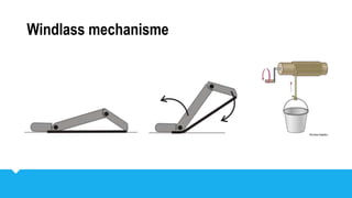 Windlass mechanisme voor SMTU 13-04-2018 | PPT