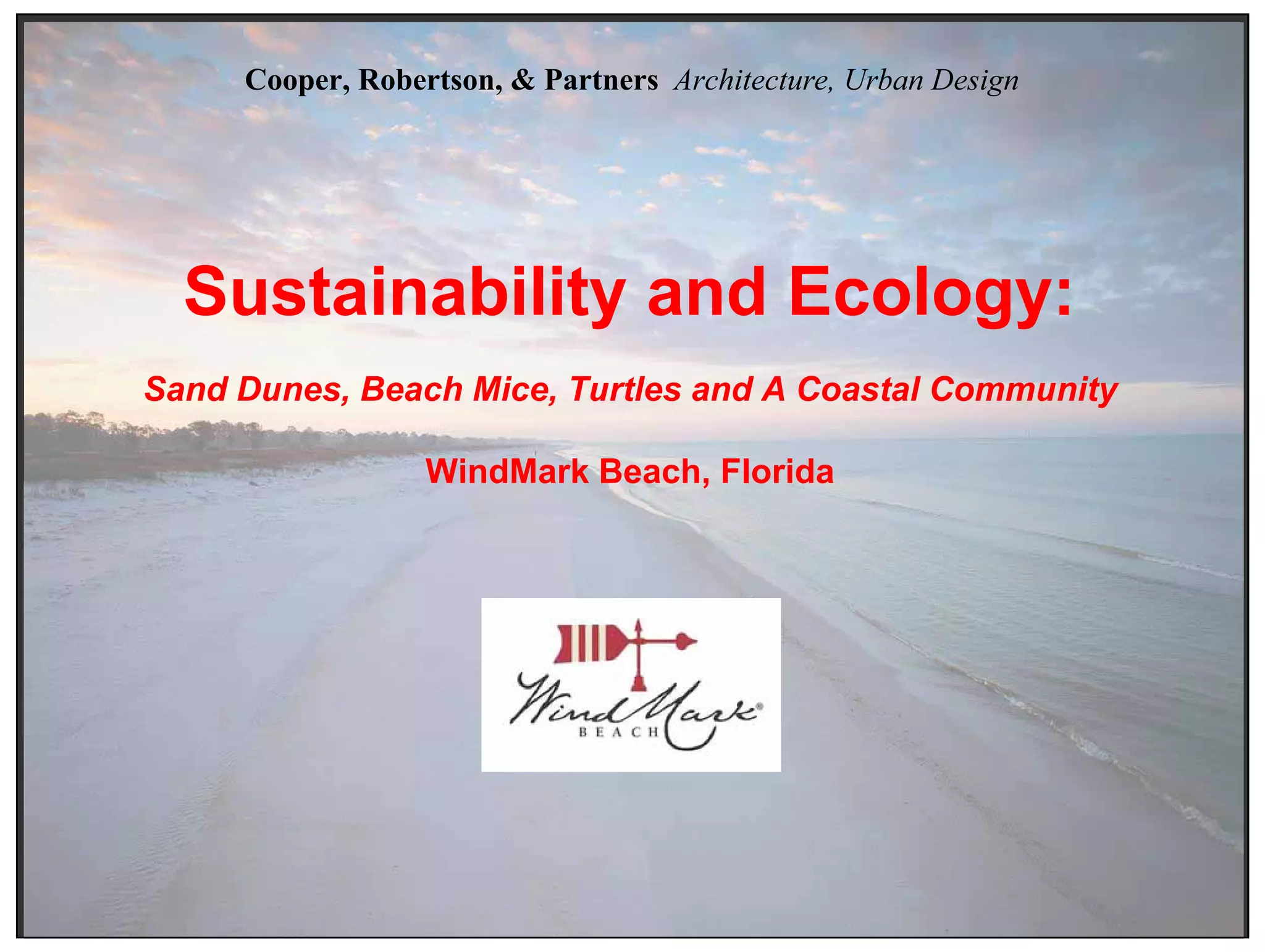 Wind Mark Beach Presentation | PDF