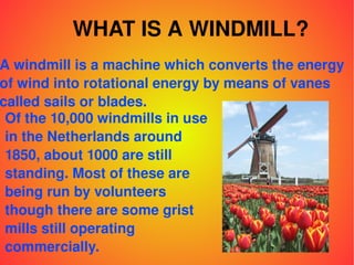 Windmills | ODP