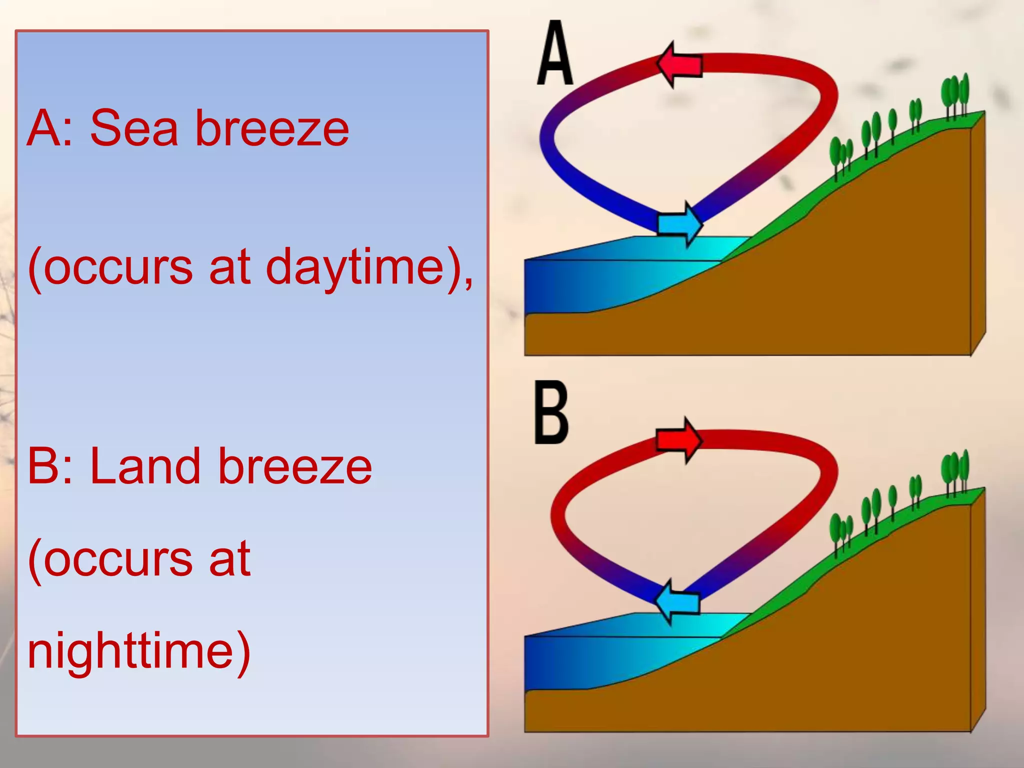 Wind types by Group 2 | PPTX | Weather | Science