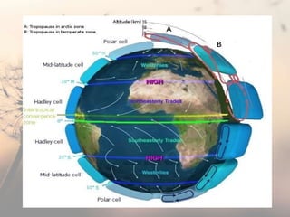 Wind types by Group 2 | PPTX | Weather | Science