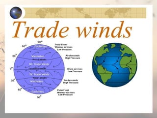 Wind types by Group 2 | PPTX | Weather | Science