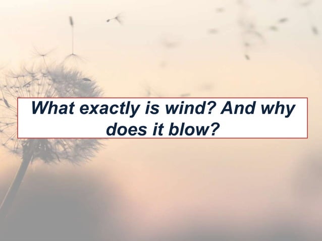 Wind types by Group 2 | PPTX | Weather | Science