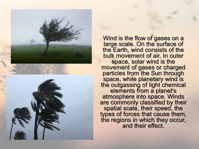 Wind types by Group 2 | PPTX | Weather | Science