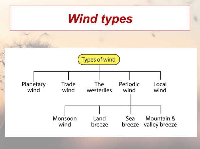 Wind types by Group 2 | PPTX | Weather | Science
