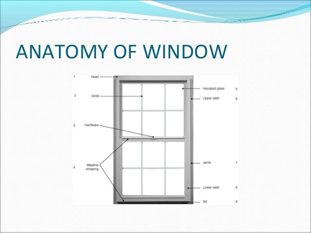 Window and window treatment