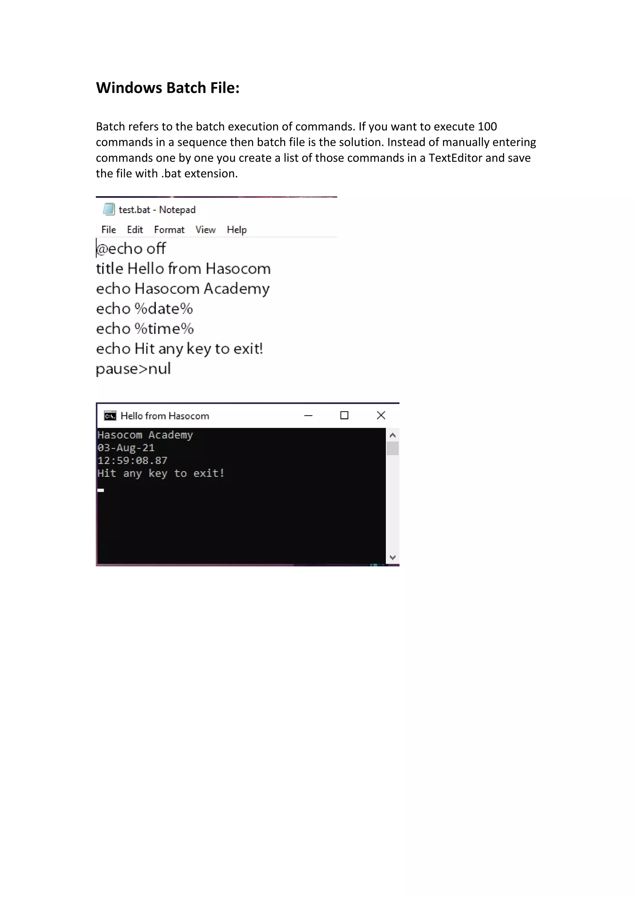 Windows Batch Scripting Pdf