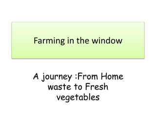 Window farming | PPTX | Gardening | Home & Garden